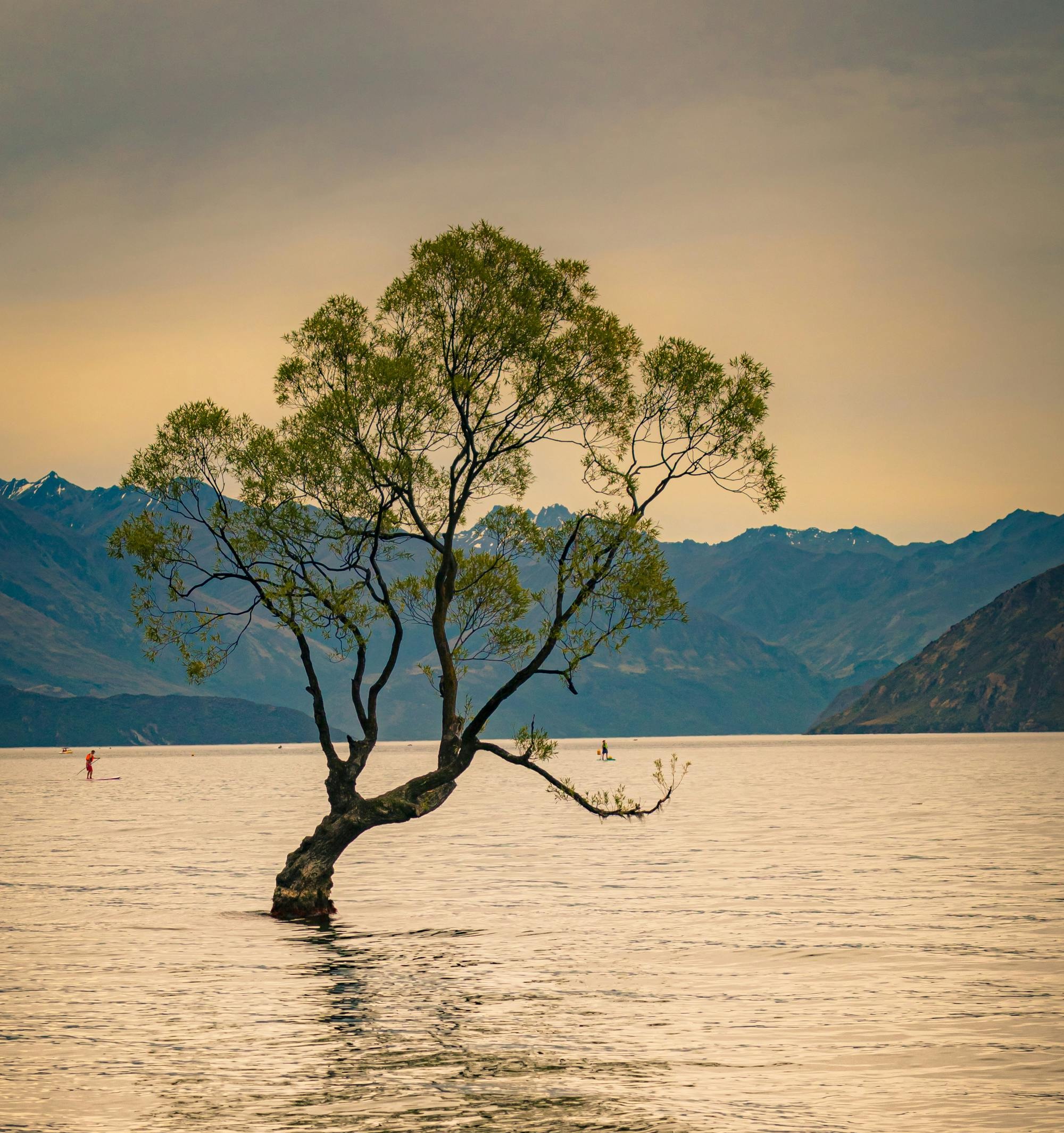 From Local Projects to Portfolio Strength: Investing in Resilience for ...